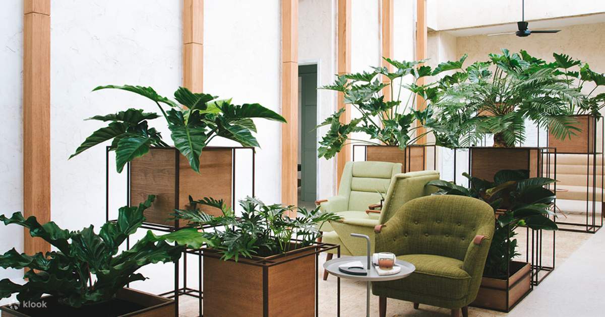 Calm Spa Ari Experience in Bangkok - Klook 客路